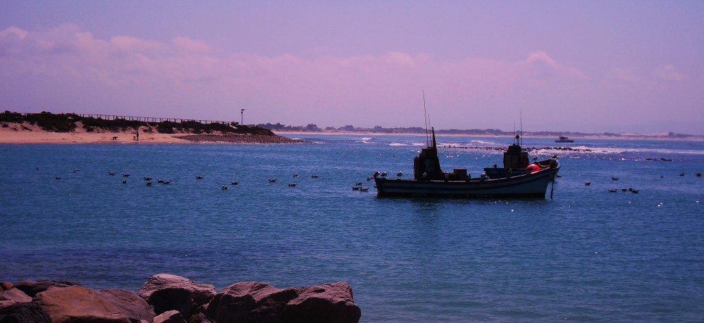 Seerowers! (Deel 2) | Seegogga se Bloggie